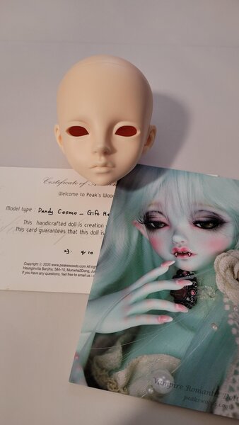 Uniquedolls - BJD Collectors