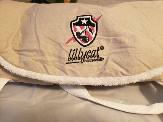 Lillycat Kitty Jolie by Lillycat of Peachyberries BJD - BJDcollectors.com